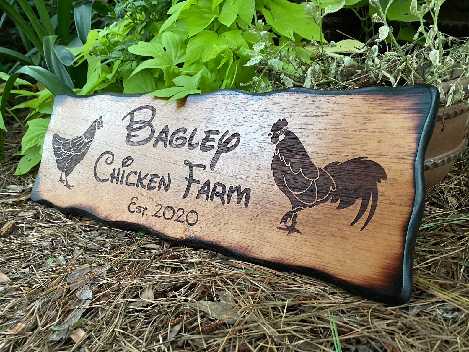 Personalized Outdoor Chicken Coop Sign Large Personalized - Etsy
