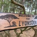 Custom Wood Lion Sign, Personalized Outdoor Wood Sign, Rustic Driveway ...