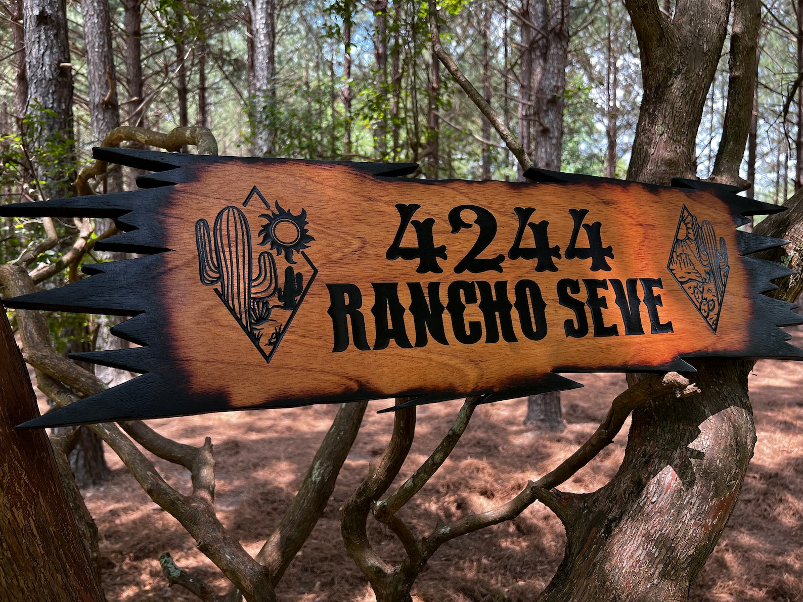 Personalized Desert Cactus Address Sign Rustic Western Porch - Etsy