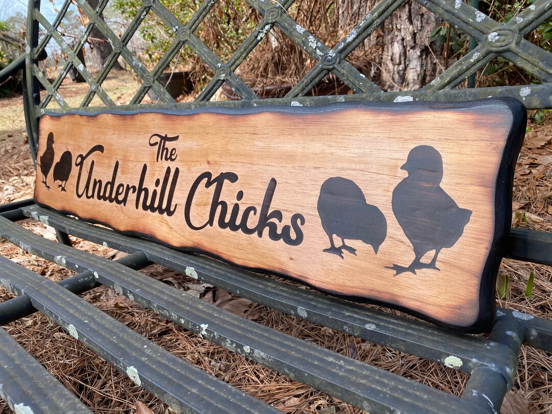 Personalized Farm Chick Wood Sign Large Outdoor Chicken Coop - Etsy