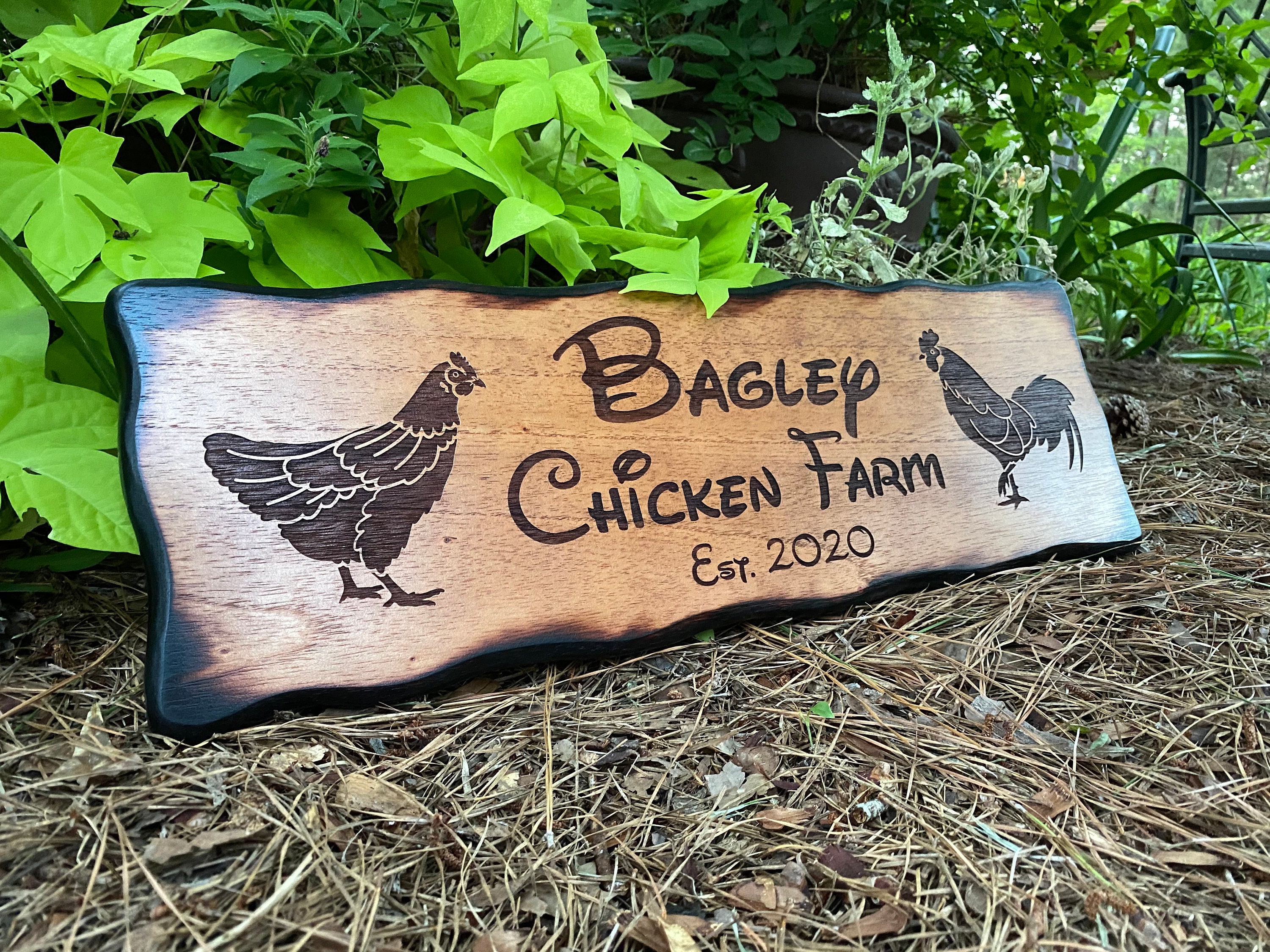 Outdoor Farm Garden Wood Sign, Large Personalized Chicken Coop ...