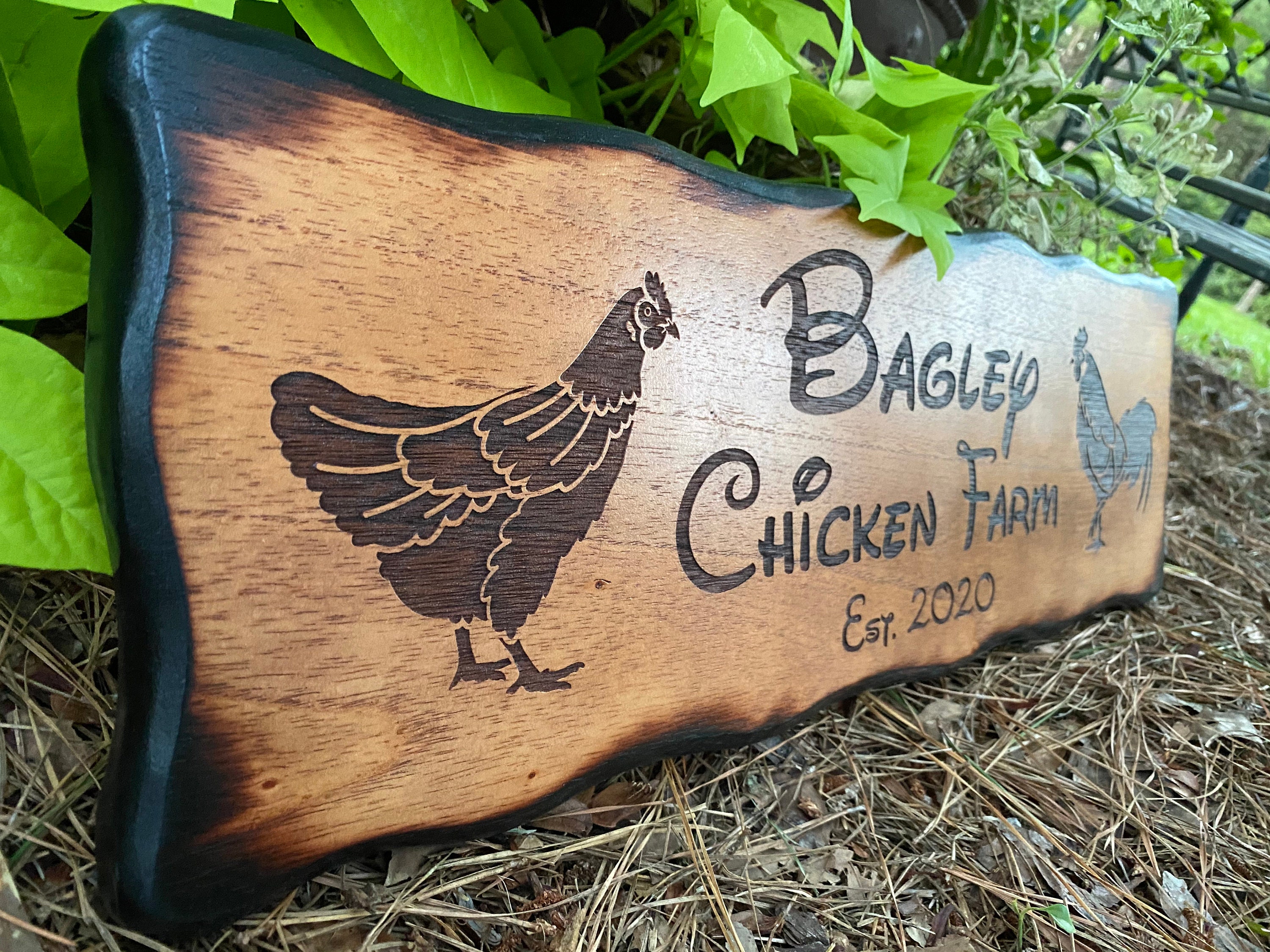 Outdoor Farm Garden Wood Sign Large Personalized Chicken Coop | Etsy