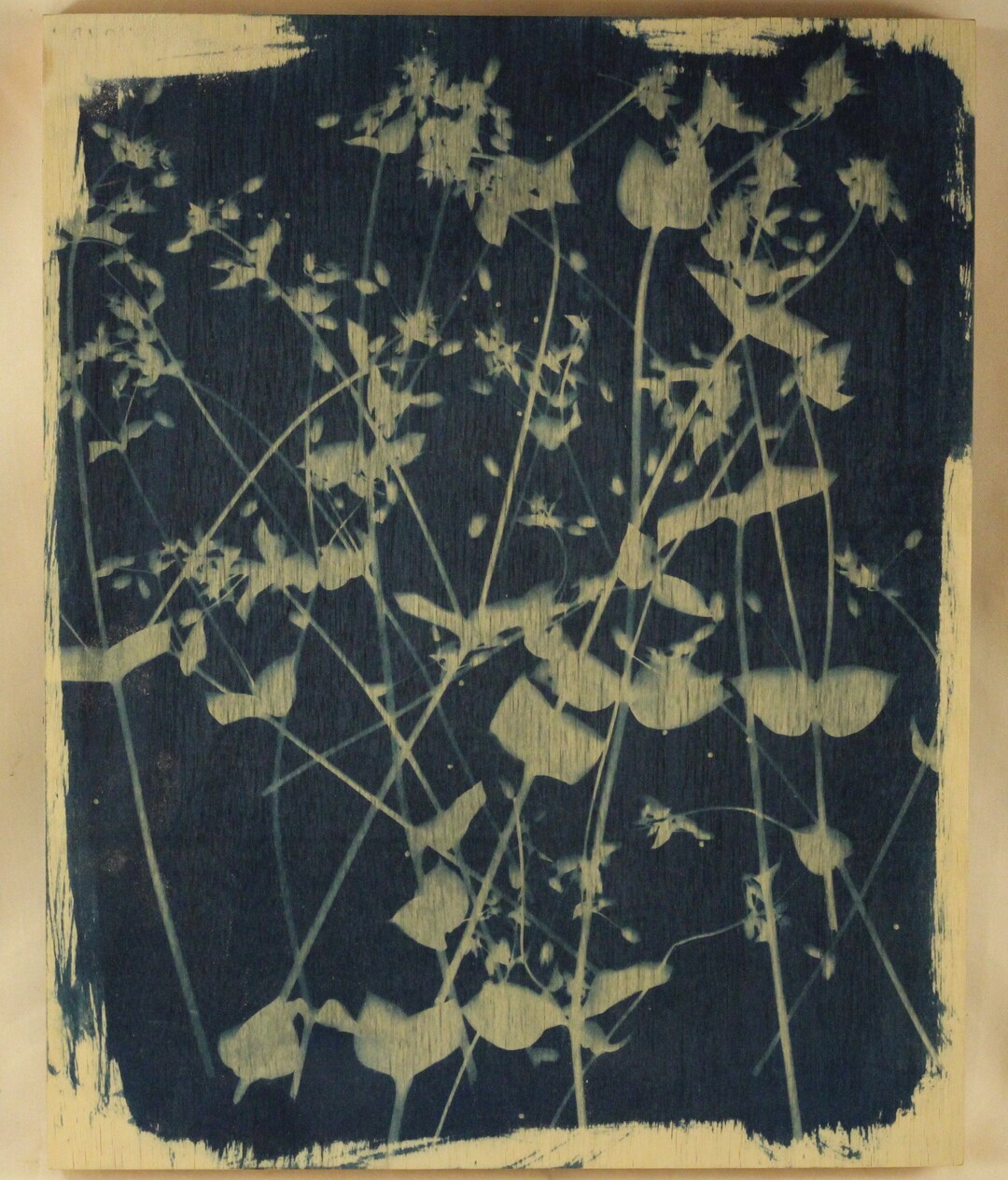 Fine Art Photograph Cyanotype Printed on Wood Panel One of A Kind ...