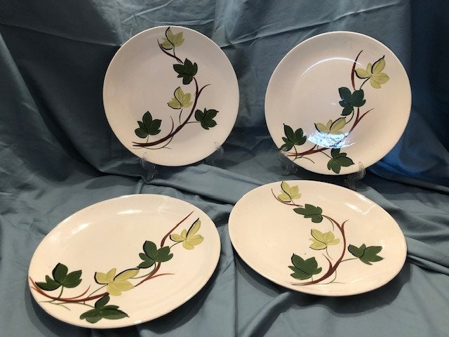 Blue Ridge Plantation Ivy - Etsy