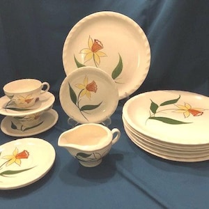 Blue Ridge Daffodil - Etsy