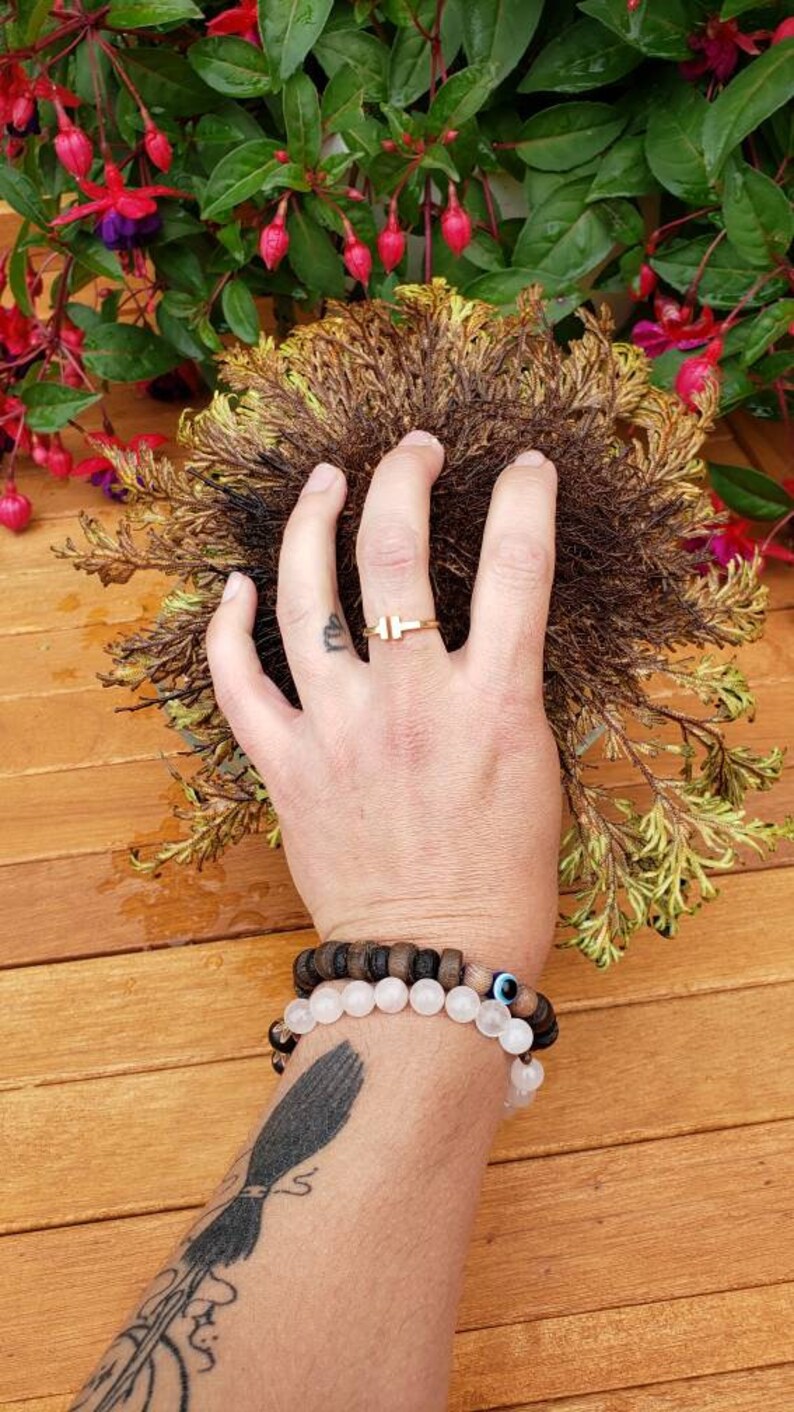 Rose of Jericho Aka Resurrection Plant Flower Desert Wiccan Altar ...