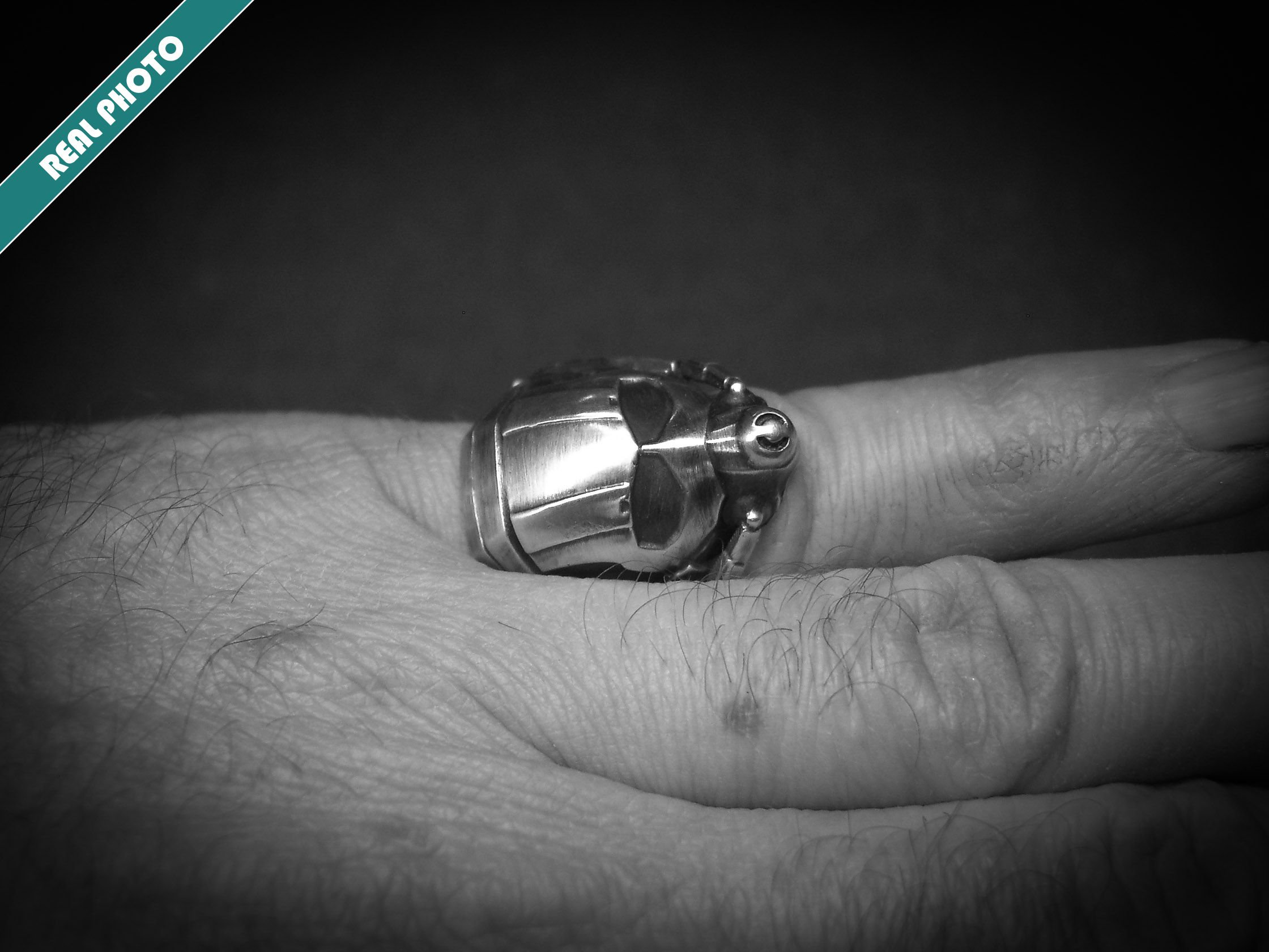 Marvel Ant-Man Ring Ant Ring Man Ring Rustic Ring 3D | Etsy