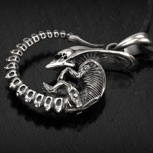 MR. Giger Inspired , Alien Newborn Pendant, Chestburster, Prometheus ...