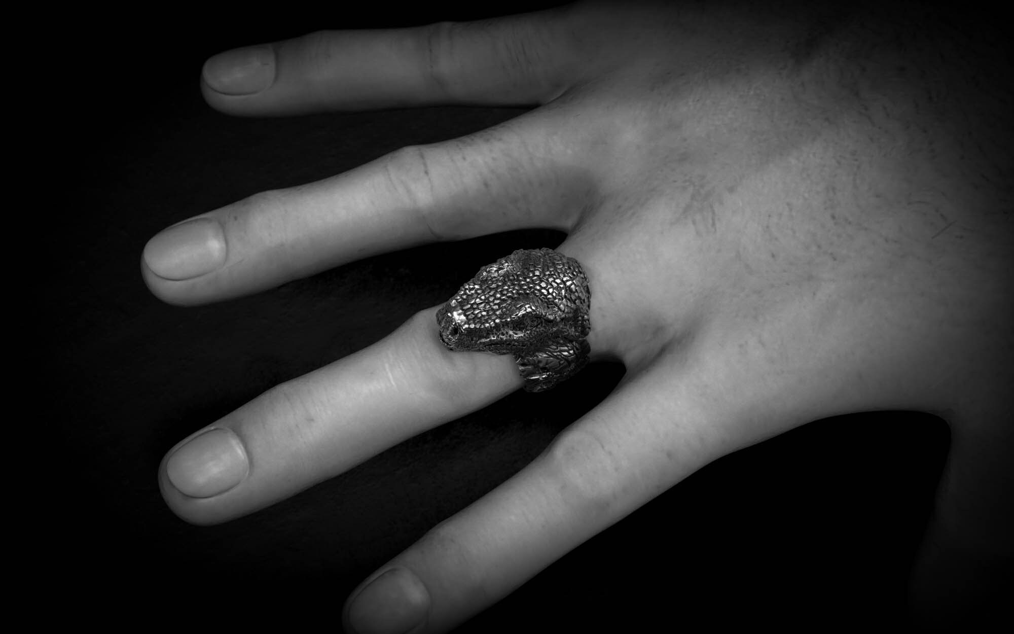 T-rex Ring Dinosaurs Ring Jurassic Park Ring Biker Ring - Etsy UK