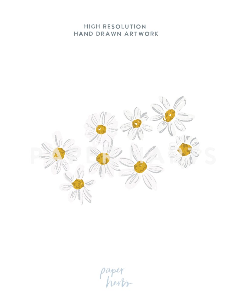 Daisy Invitation Template, Printable Birthday Invite, Daisy Third ...