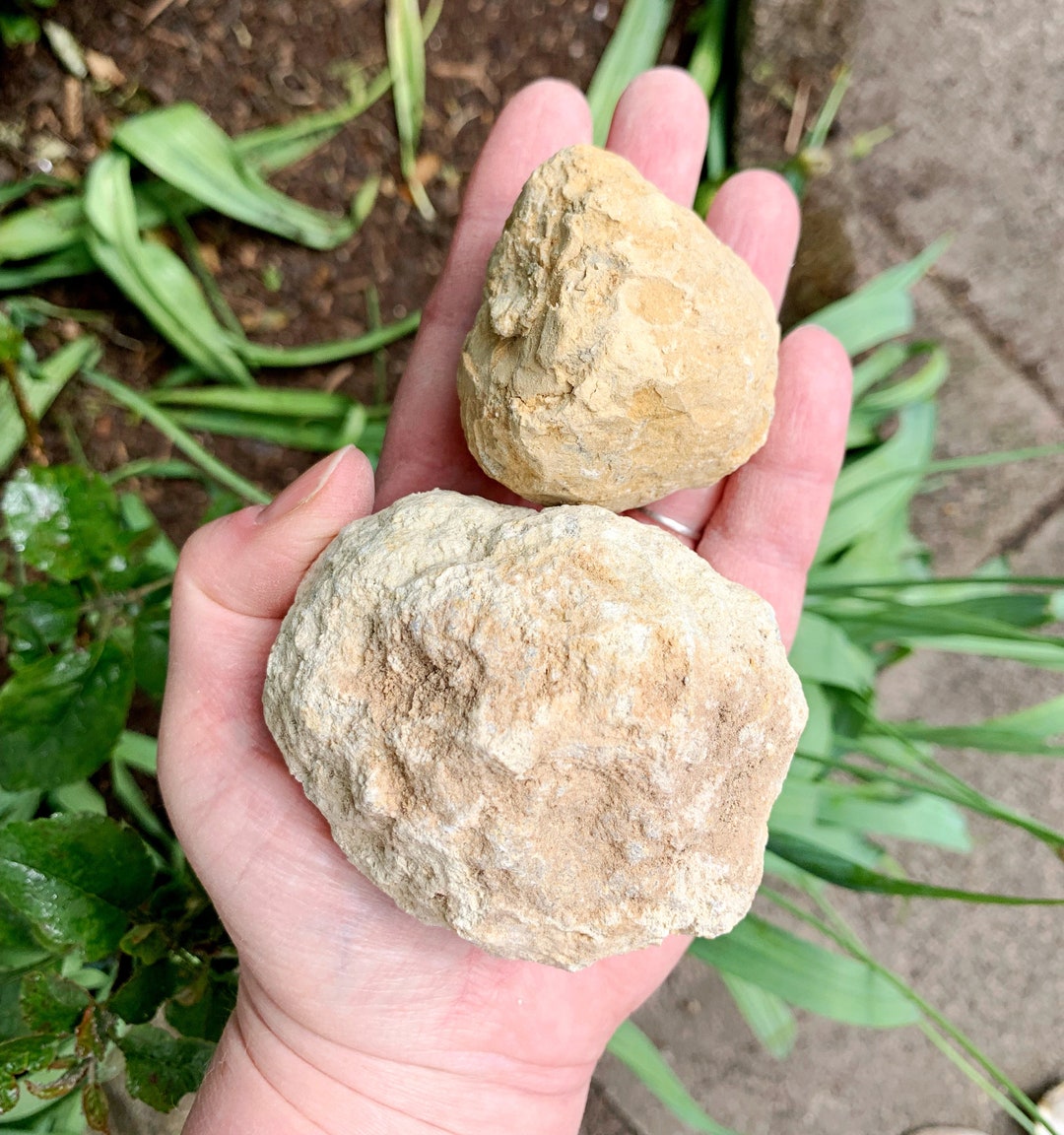 Quartz Geode, Crystal Geode, Unbroken Geode, Break Your Own Geode ...