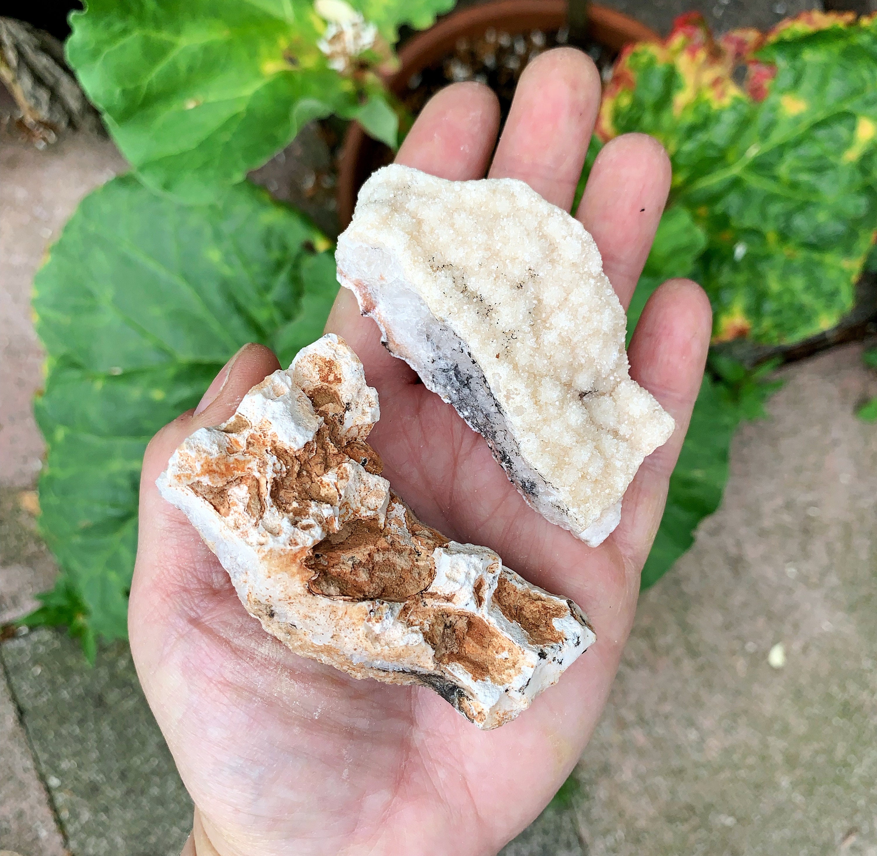 Zeolite Raw Zeolite Mineral Zeolite Crystal Natural - Etsy