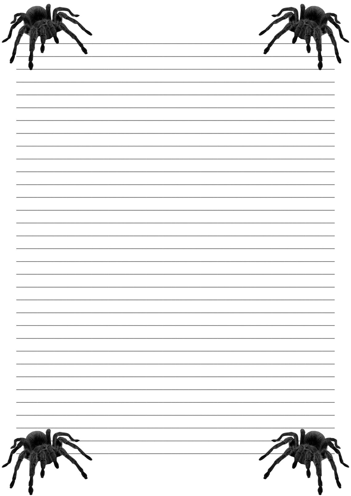 I Love Spiders A4 Lined Writing Paper, Tarantula Lined Writing Paper ...