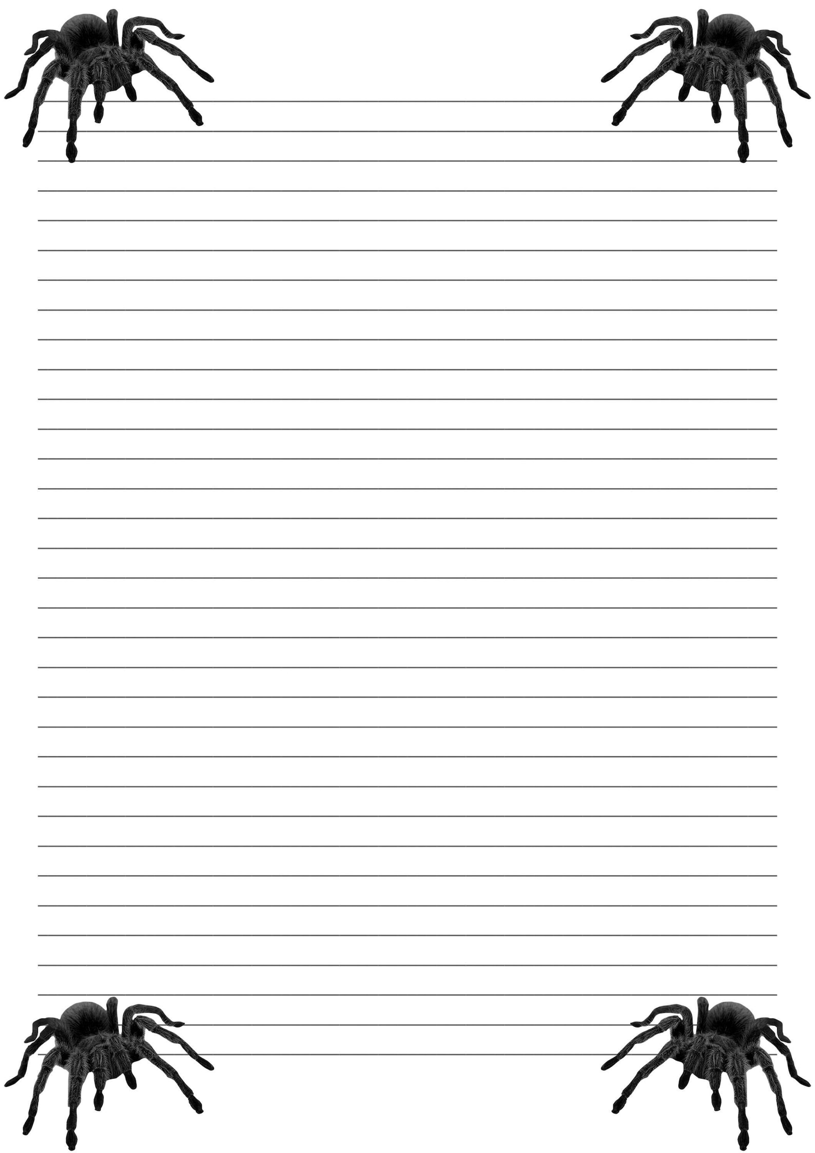 I Love Spiders A4 Lined Writing Paper, Tarantula Lined Writing Paper ...