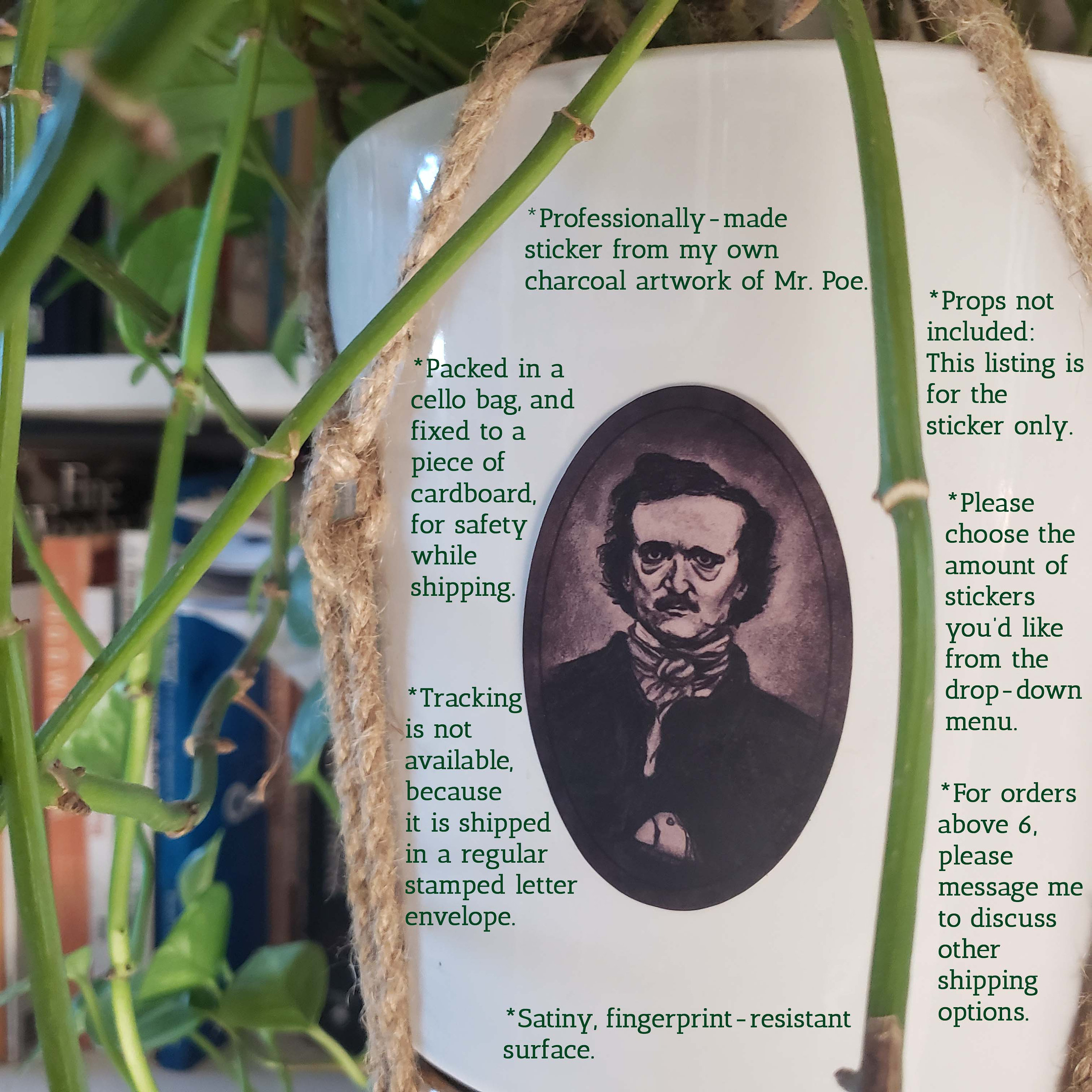 Vinyl Edgar Allen Poe Portrait Sticker — Nicky Drew