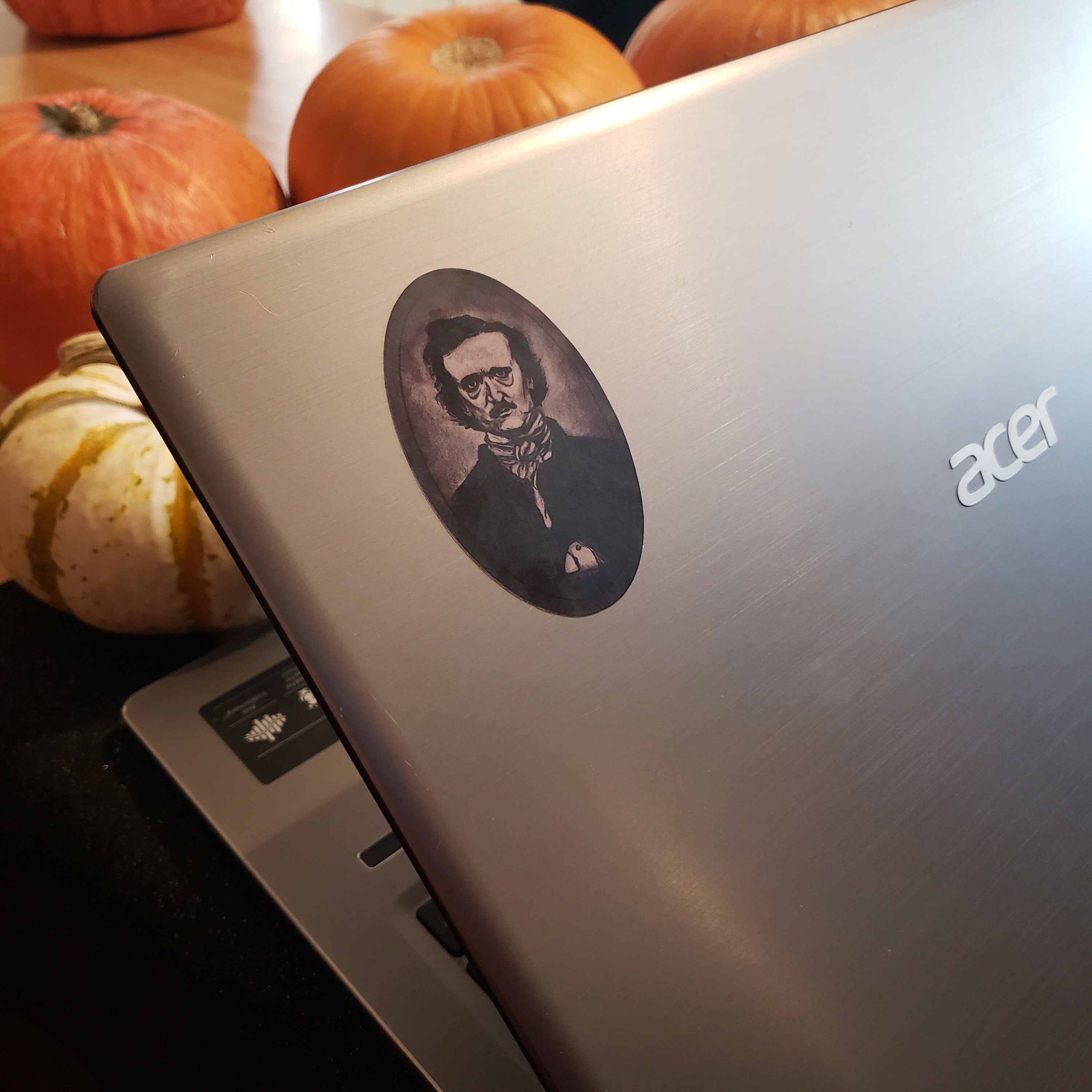 Vinyl Edgar Allen Poe Portrait Sticker — Nicky Drew