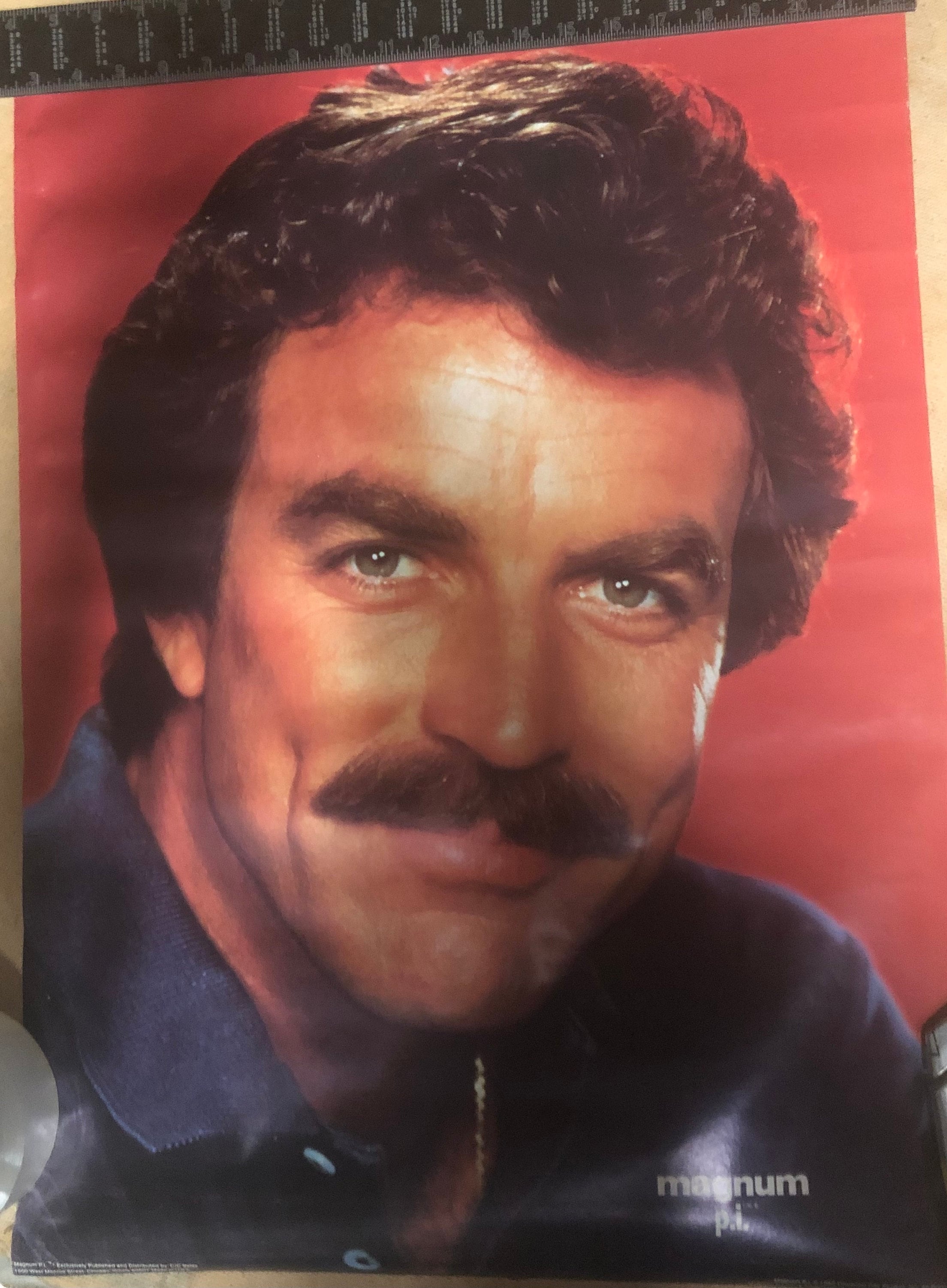 Magnum Pi Mustache