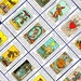 PRINTABLE Rider-waite Tarot Cards With Keywords PDF Upright and ...