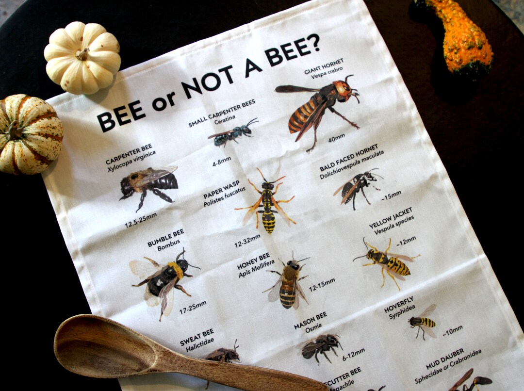 Bee or Not A Bee, Bee Educational Tea Towel - Etsy