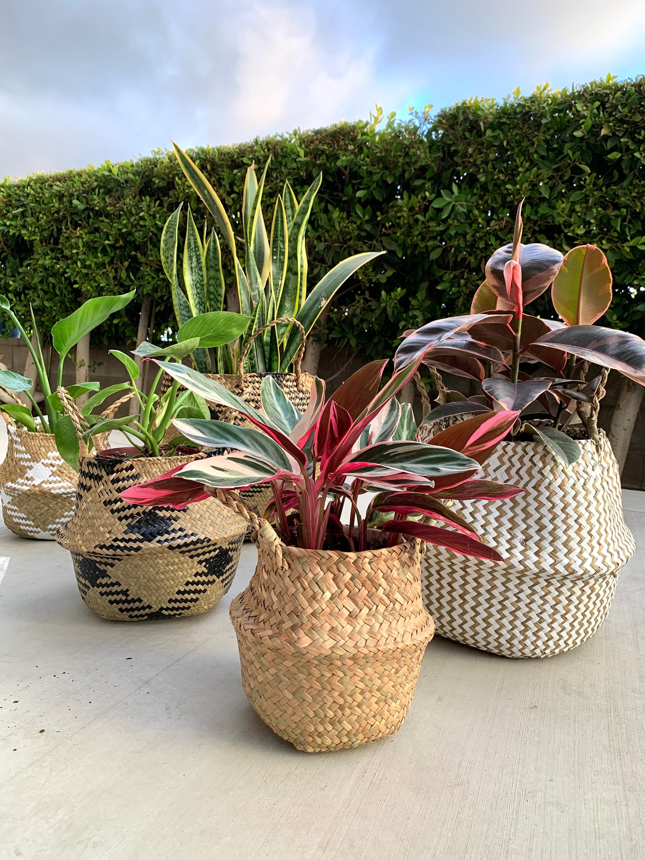 Home Décor Home & Living Baskets & Bowls decorative natural basket ...