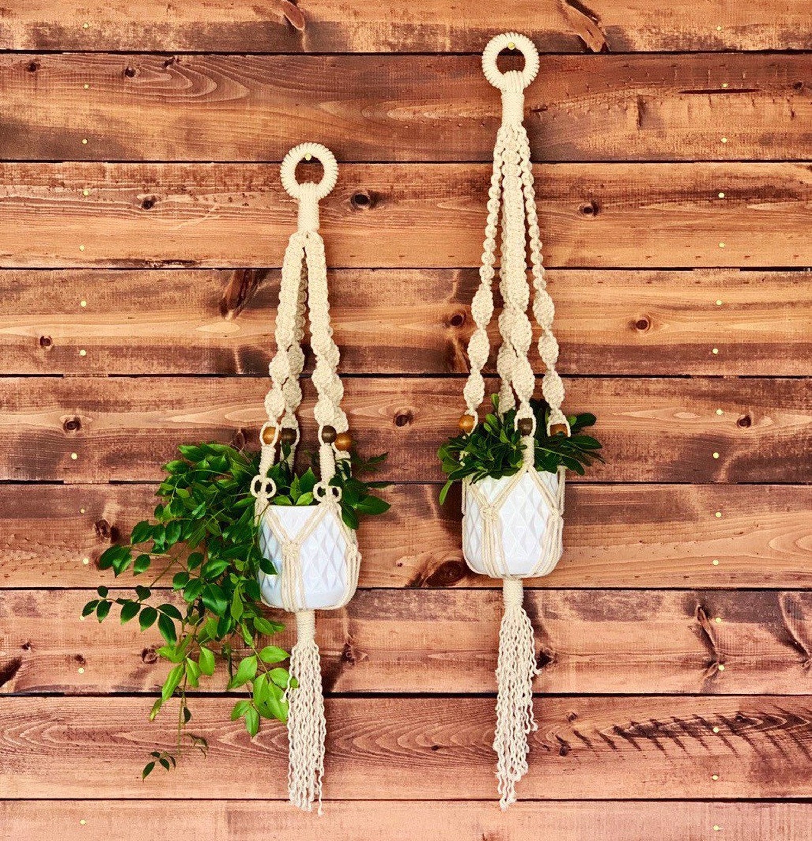 Macrame "chloe" Hanging Plant Holder - Etsy