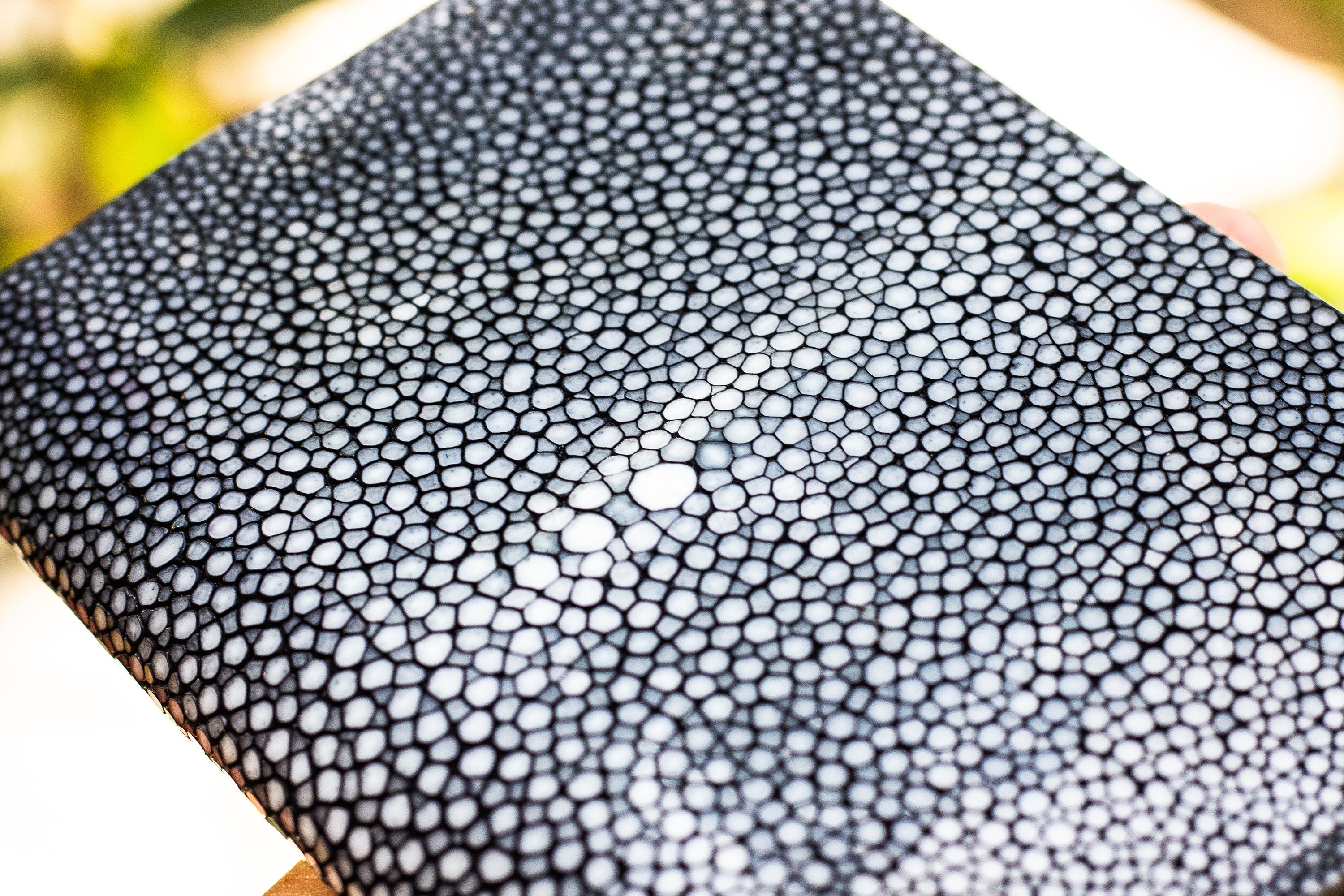 Exotic Wallet Genuine Leather Stingray from ThaiLand handmade | Etsy