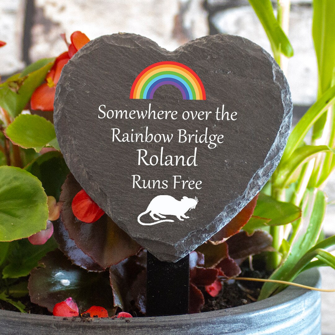 Personalised Pet Rat Memorial Plaque - Personalised Grave Marker - Etsy