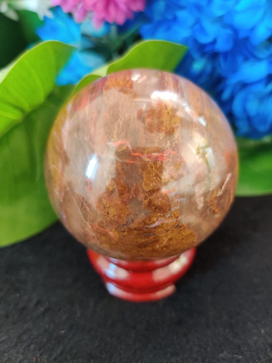 Petrified Wood Sphere Ball Orb From Madagascar Petrified Podocarpus ...