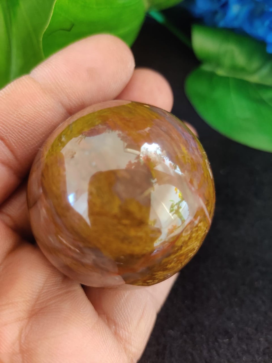 Petrified Wood Sphere Ball Orb From Madagascar Petrified Podocarpus ...