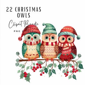 Christmas Owl Clipart Bundle | Cute Holiday Owl Clipart | Digital ...