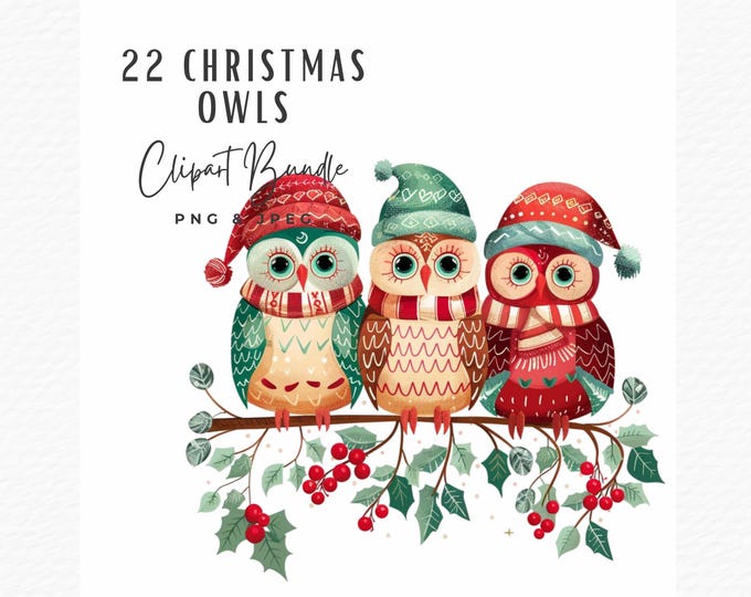 10 Cute Christmas Owl Clipart Bundle - High Quality JPG - Digital ...