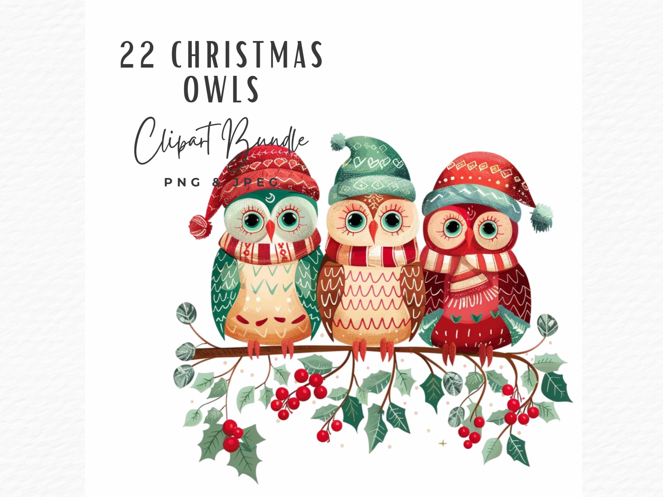Christmas Owl Clipart Bundle Cute Holiday Owl Clipart Digital Download ...