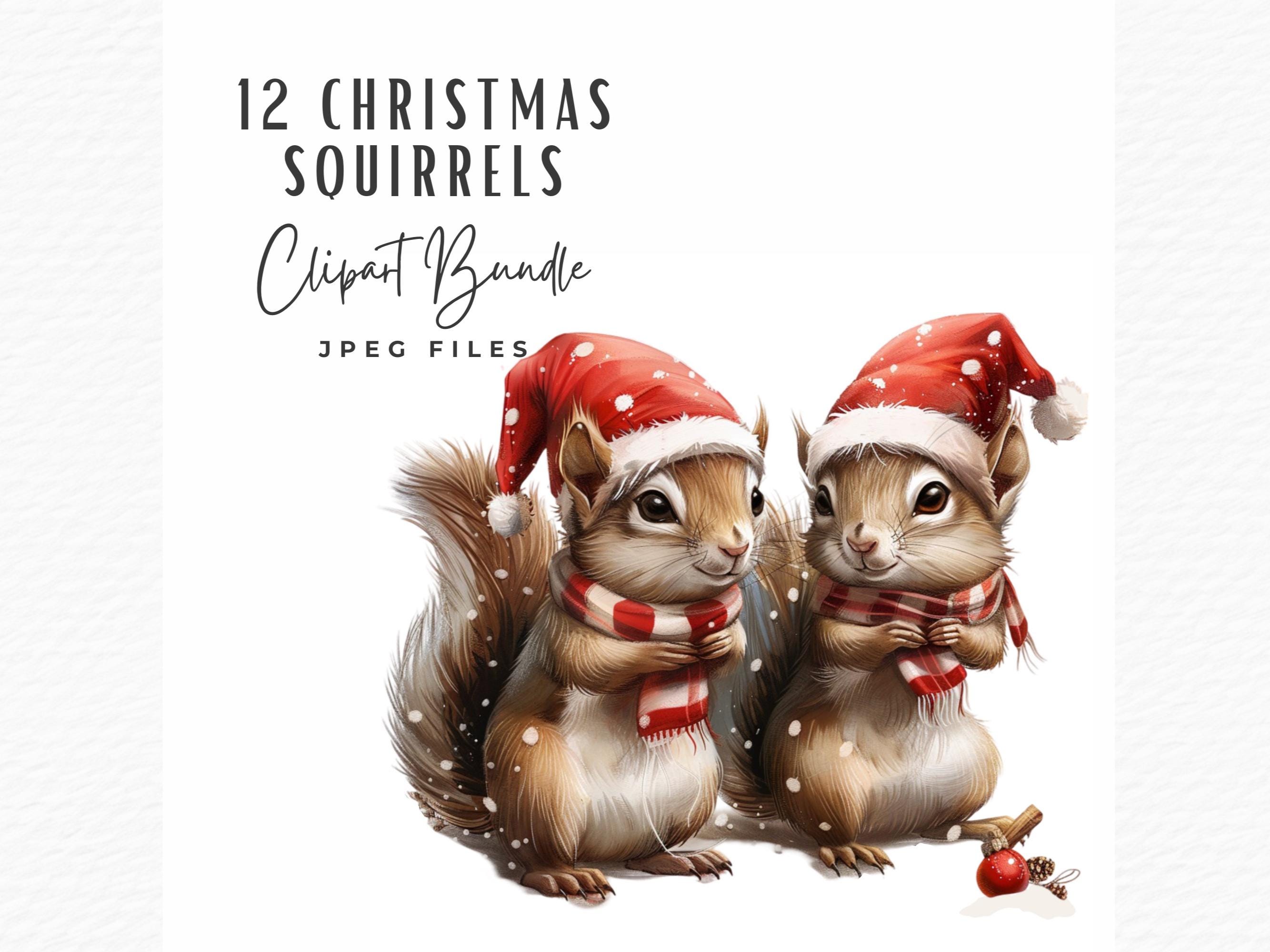 Christmas Squirrel Clipart Bundle | Watercolor Winter Holiday Cute ...