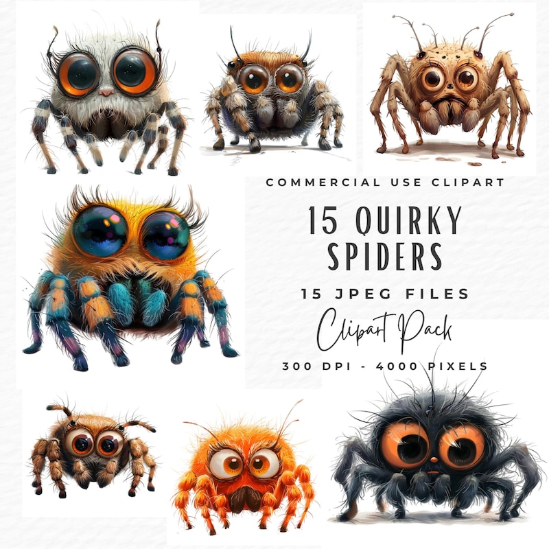 Cute Spider Clipart - Etsy
