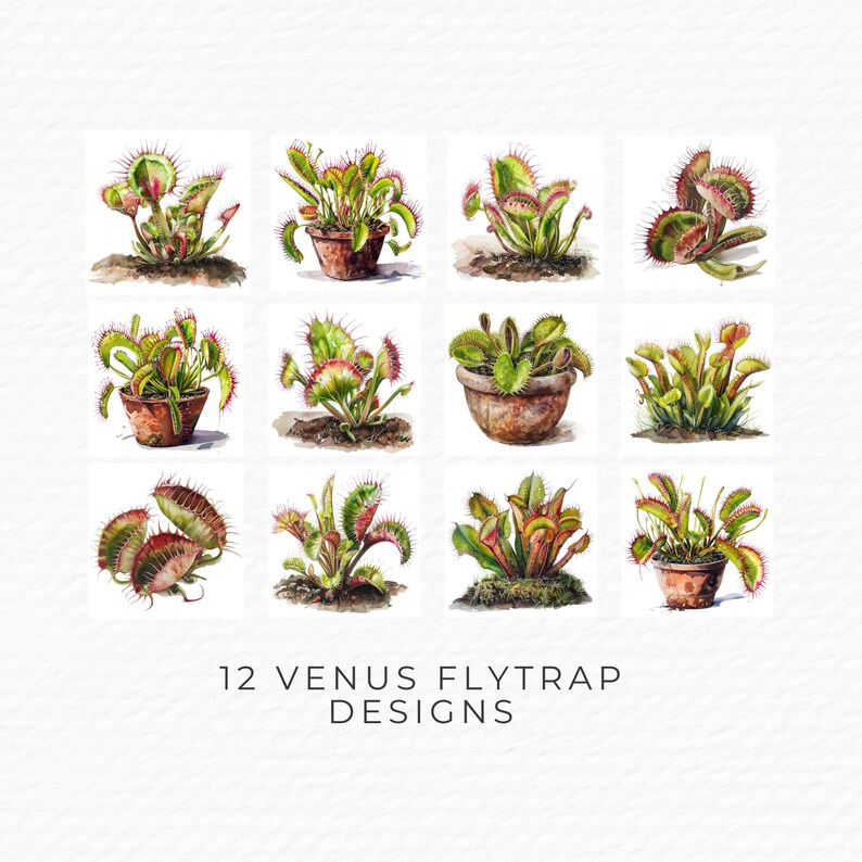 Venus Flytrap Clipart | Monster Plant Scrapbook Designs (digital ...