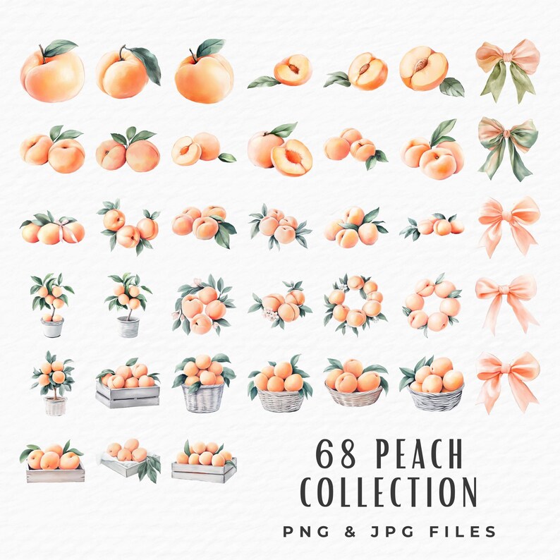 Peach Fruit Clipart Bundle, Watercolor Peach Blossom Tree Summer Fruit ...