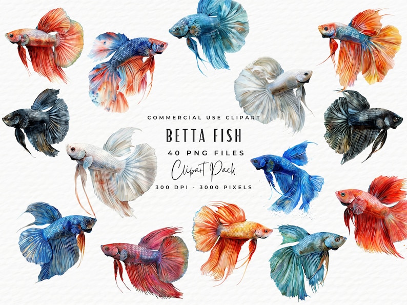 40 Betta Fish Clipart Bundle | Bright Watercolor Aquarium Betta ...