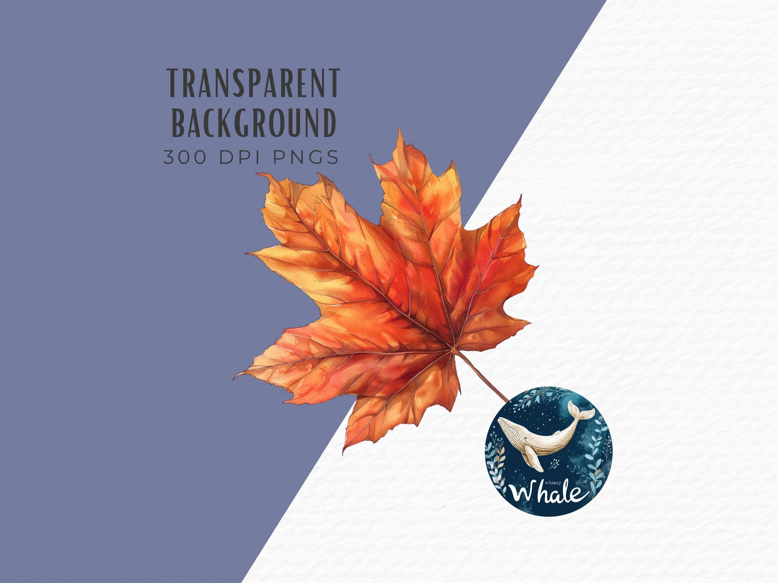 Maple Leaves Clipart Bundle, Watercolor Maple Leaf PNG JPG Clipart ...