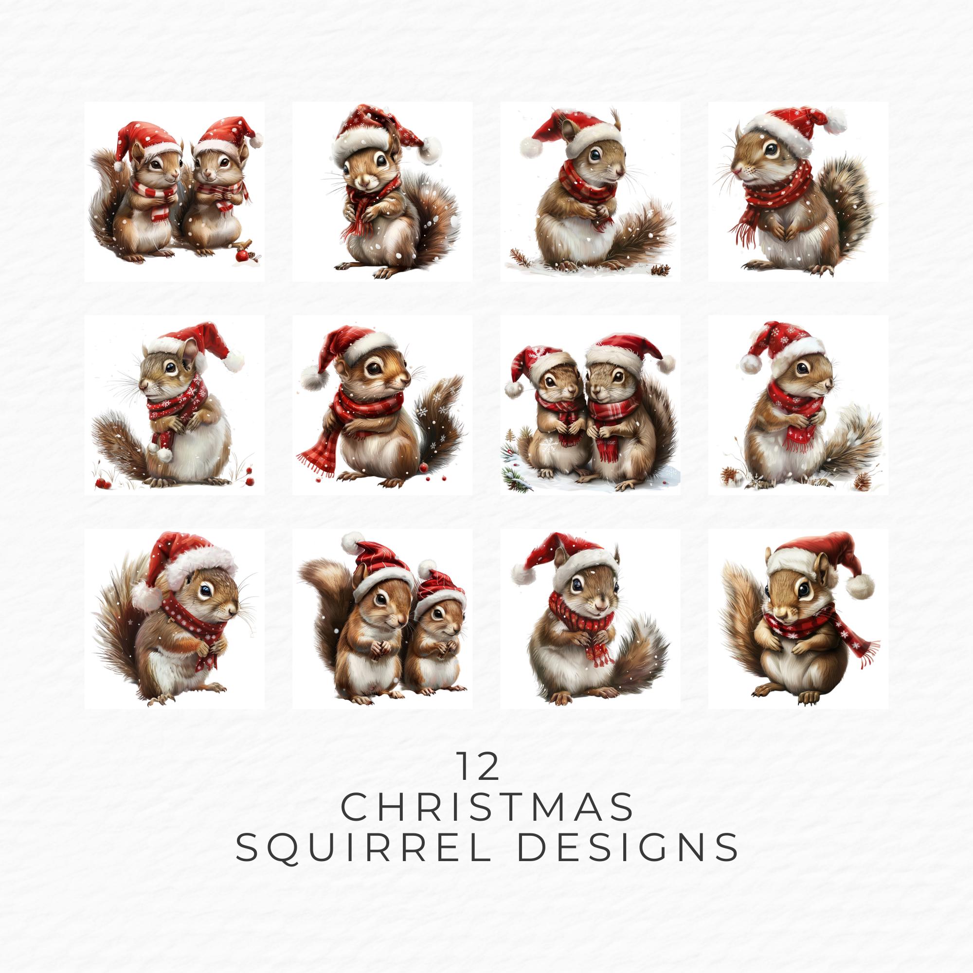 Christmas Squirrel Clipart Bundle | Watercolor Winter Holiday Cute ...