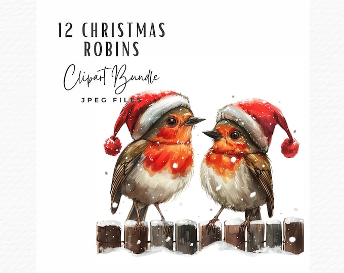 Christmas Robin Clip Art, 12x Winter Bird Clipart Set, Red Hat Robin ...