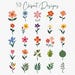 Boho Floral Clipart Bundle: Abstract Spring Flowers, Leaves (digital ...