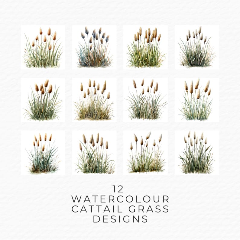 Cattail Grass Clipart | Watercolor Bulrush, Marsh Reed (digital ...