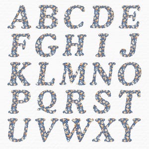 Watercolor Cowboy Alphabet Clipart: Western Letters & Numbers (digital ...