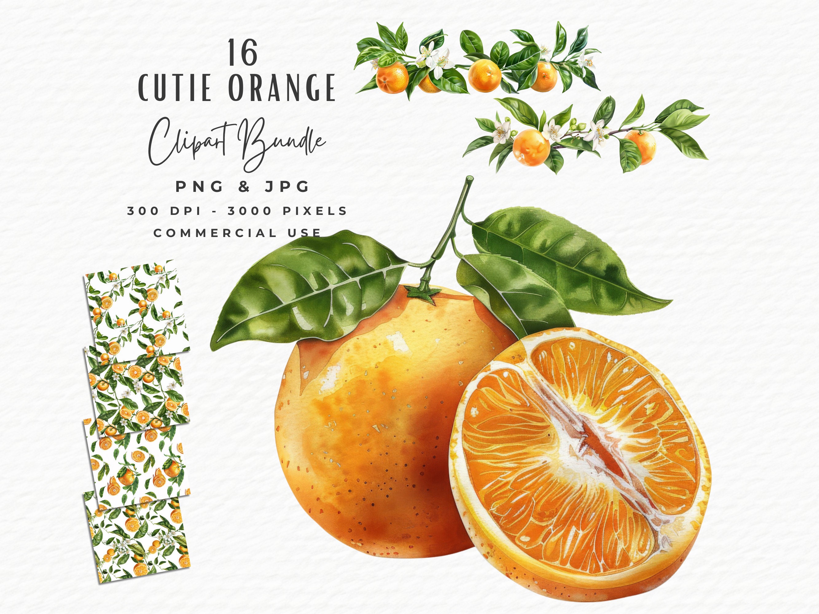 16 Cutie Orange Clipart Bundle Watercolor Citrus Fruit Summer Elements ...