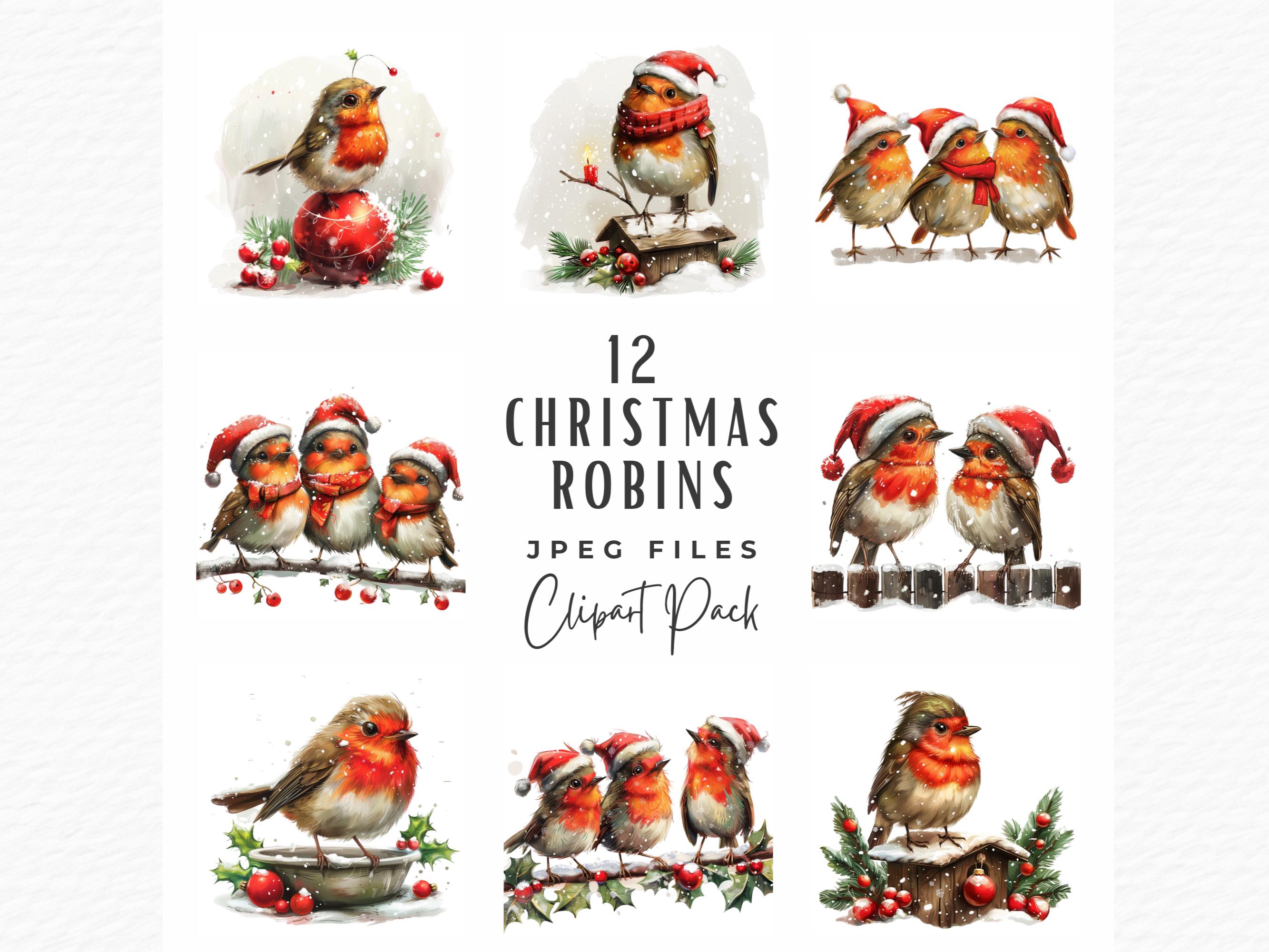 Christmas Robin Clipart Bundle | Watercolor Winter Holiday Cute Robin ...