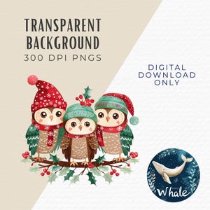 Christmas Owl Clipart Bundle | Cute Holiday Owl Clipart | Digital ...