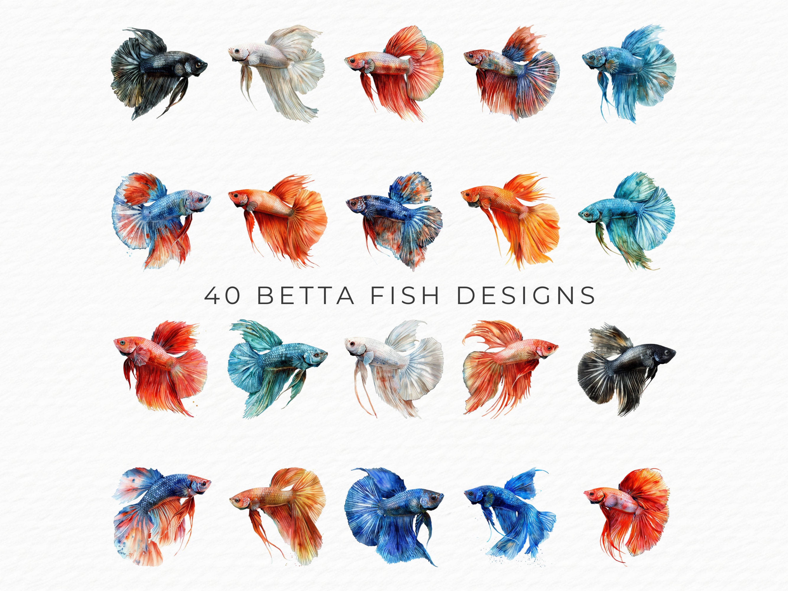 40 Betta Fish Clipart Bundle | Bright Watercolor Aquarium Betta ...
