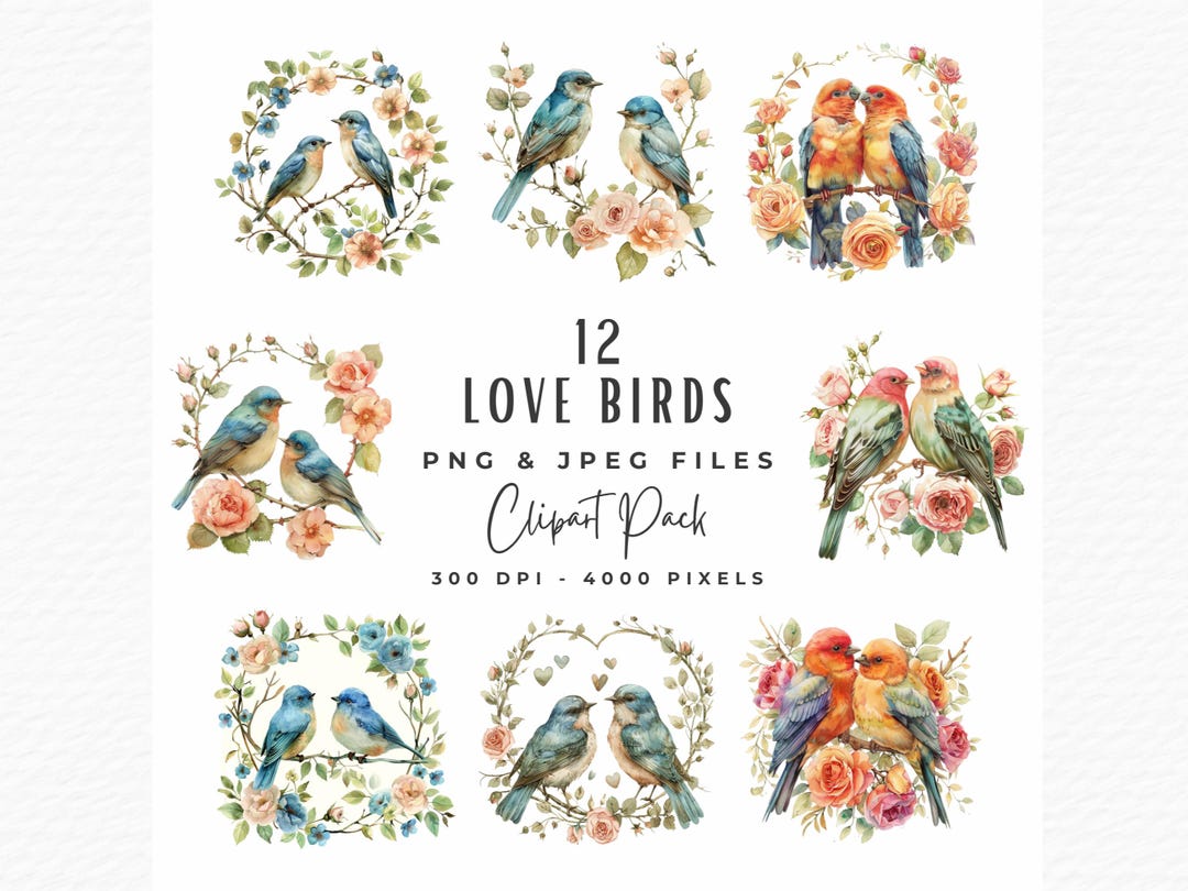 Love Birds Clipart PNG JPG Bundle | Watercolor Romantic Bird ...