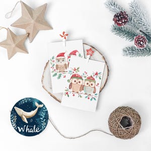 Christmas Owl Clipart Bundle | Cute Holiday Owl Clipart | Digital ...