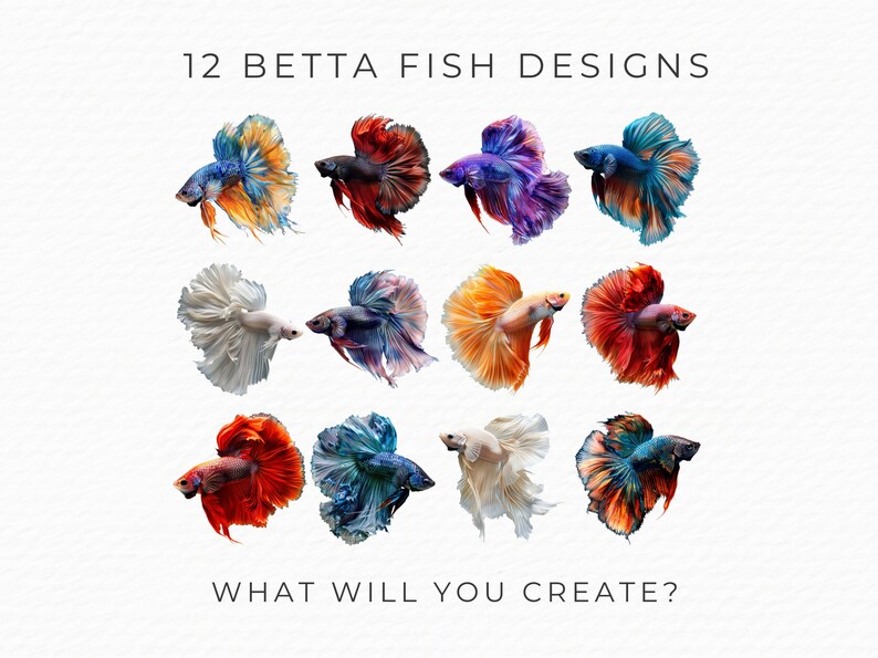 12 Betta Fish Clipart Bundle Bright Watercolor Aquarium Betta Fighting ...